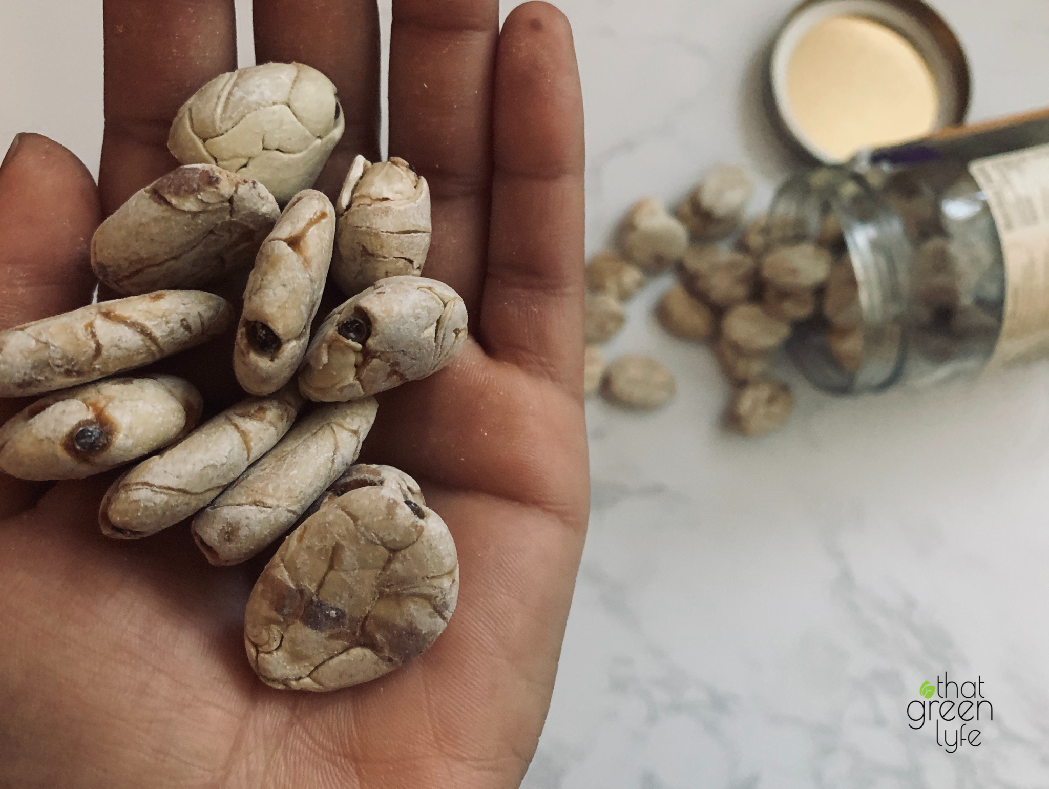 What the **** are Macambo Beans? | That Green Lyfe